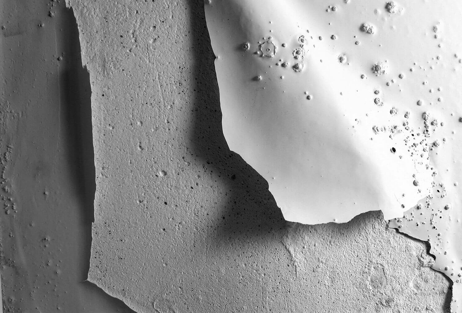 Mold Testing - Brickhouse Inspections